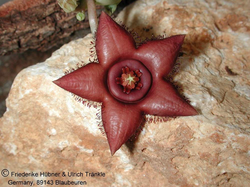 Fotoausstellung Orbea